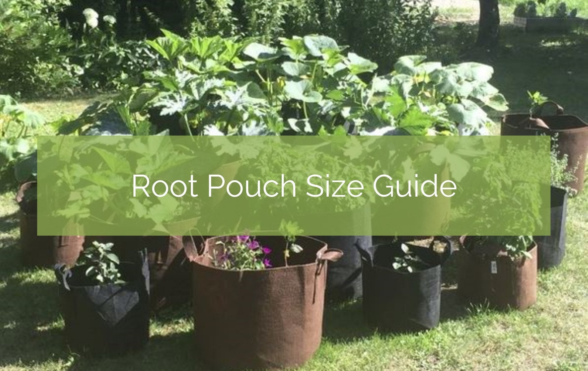 Root Pouch Grow Bag Size Guide - Up On The Rooftop