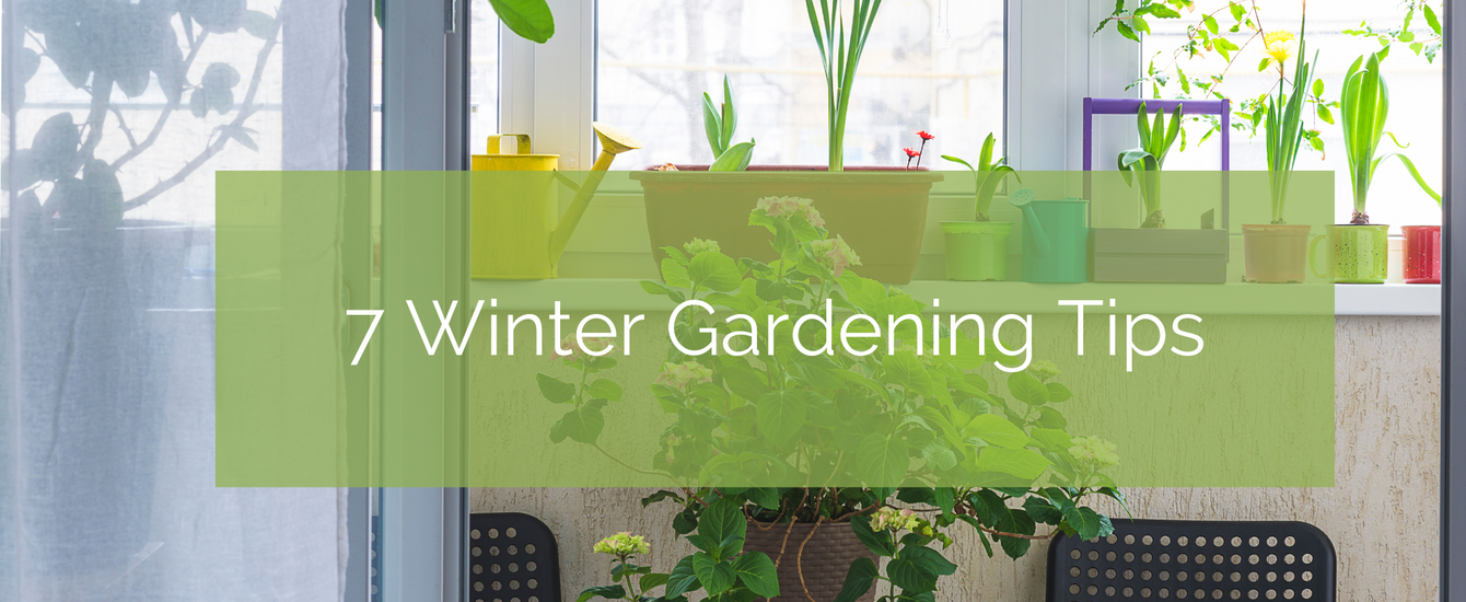 7 Winter Gardening Tips – Up On The Rooftop
