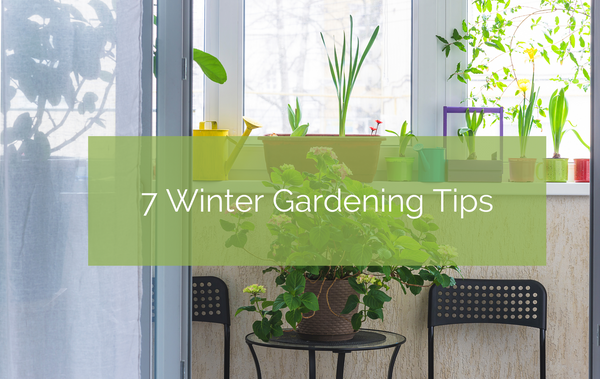 7 Winter Gardening Tips - Up On The Rooftop