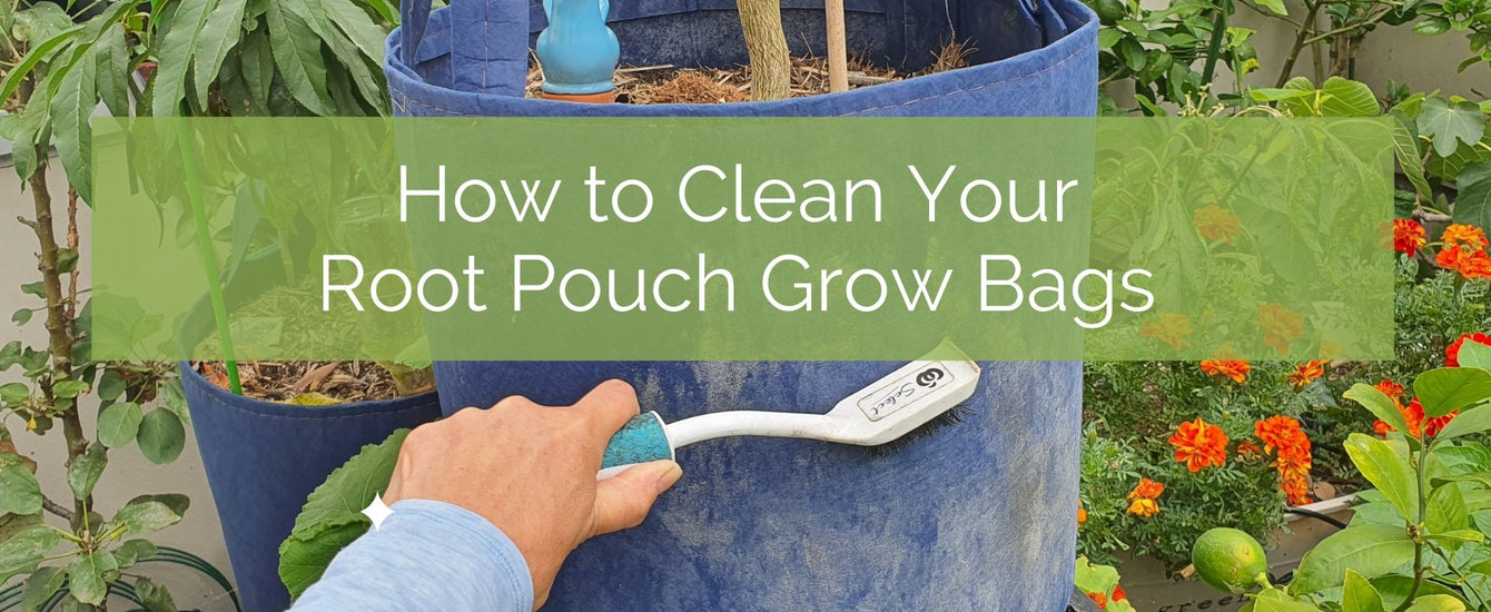 How to Clean your Root Pouch Grow Bags – Up On The Rooftop