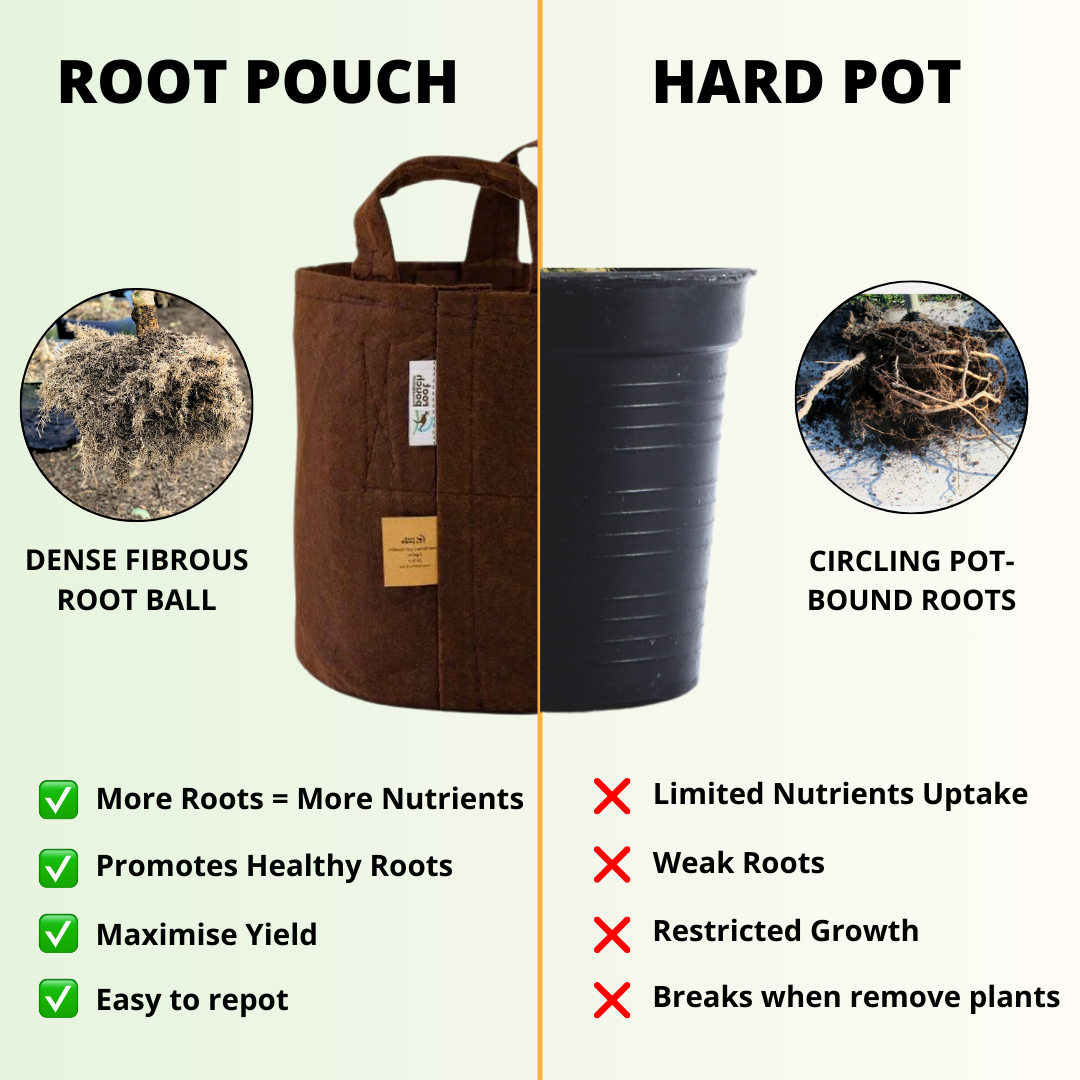 Small Space Urban Gardening | Olla Pots | Root Pouch Grow Bags – Up On ...