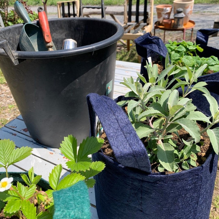 The Original Root Pouch Grow Bag | 100% Food Safe Planet Friendly – Up ...