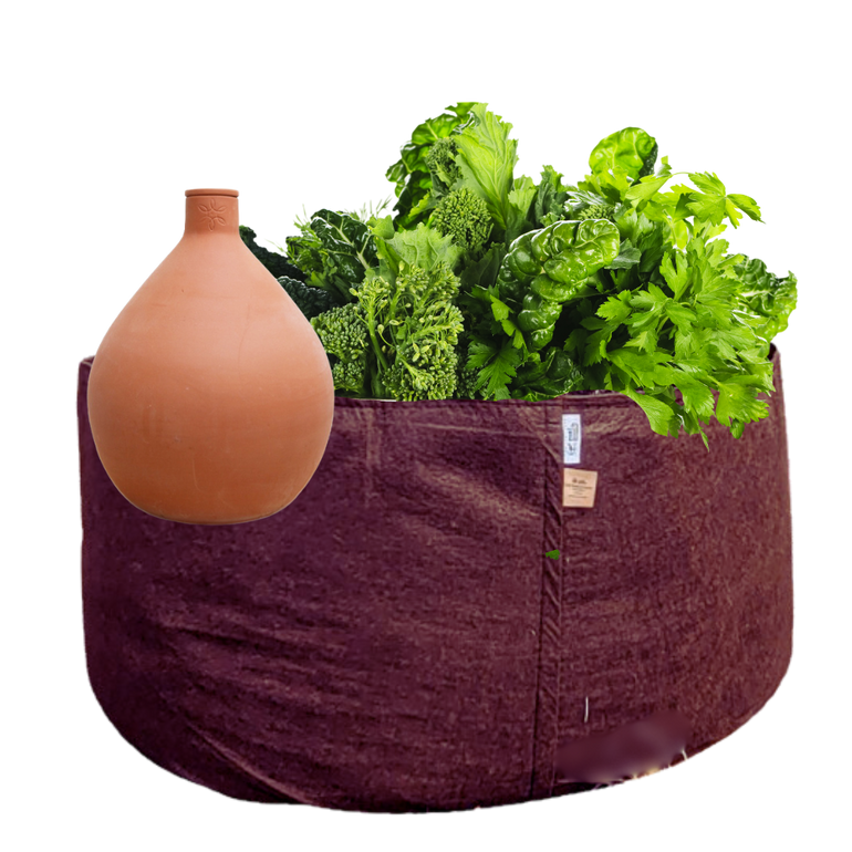 The Original Root Pouch Grow Bag | Food Safe| Planet Friendly – Up On ...