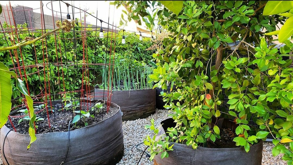 Raised Garden Bed Fabric Grow Bag | Large sizes | Grow in Difficult ...