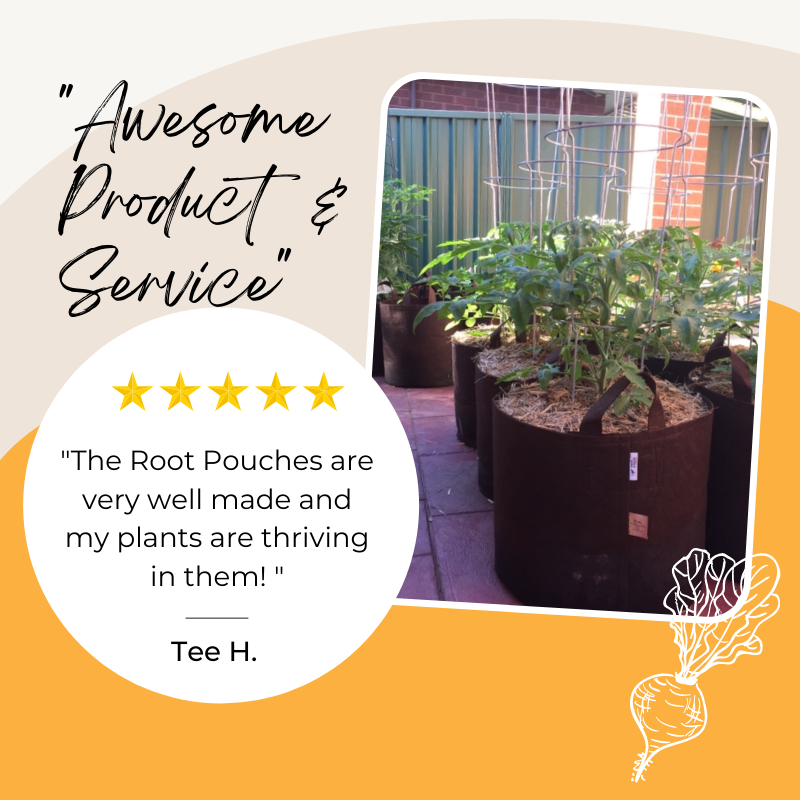 Small Space Urban Gardening | Olla Pots | Root Pouch Grow Bags