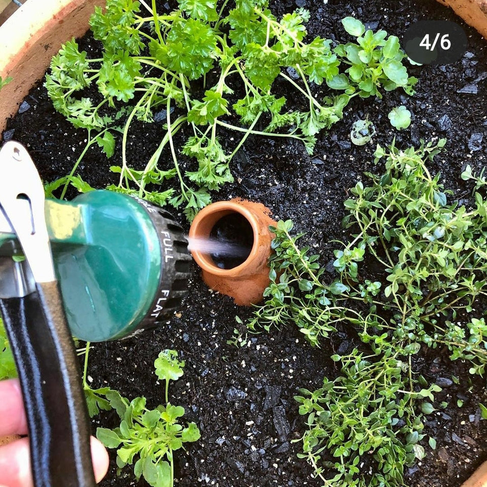 Olla Pot Small | Garden Self Watering Pot | Up On The Rooftop