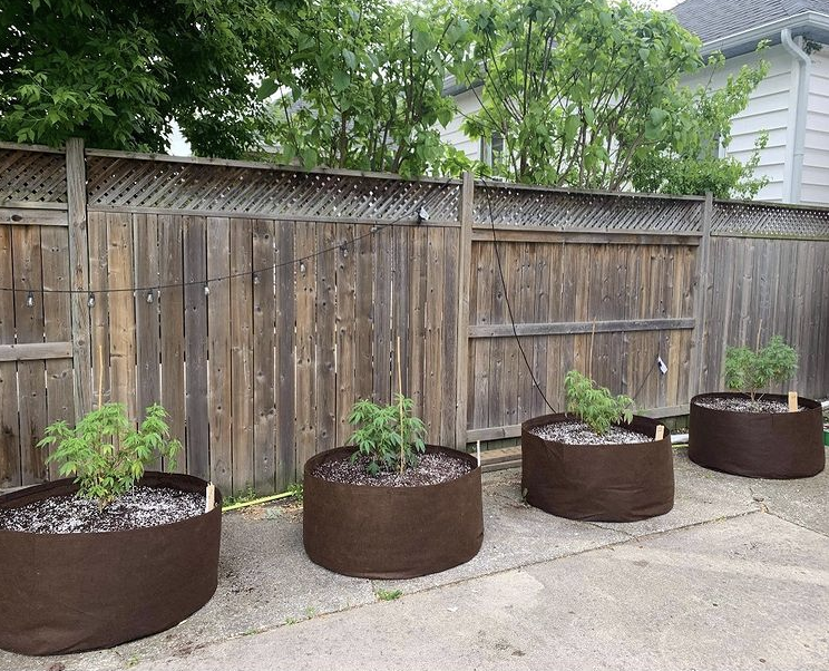 Raised Garden Bed Fabric Grow Bag | Large sizes | Grow in Small Spaces ...