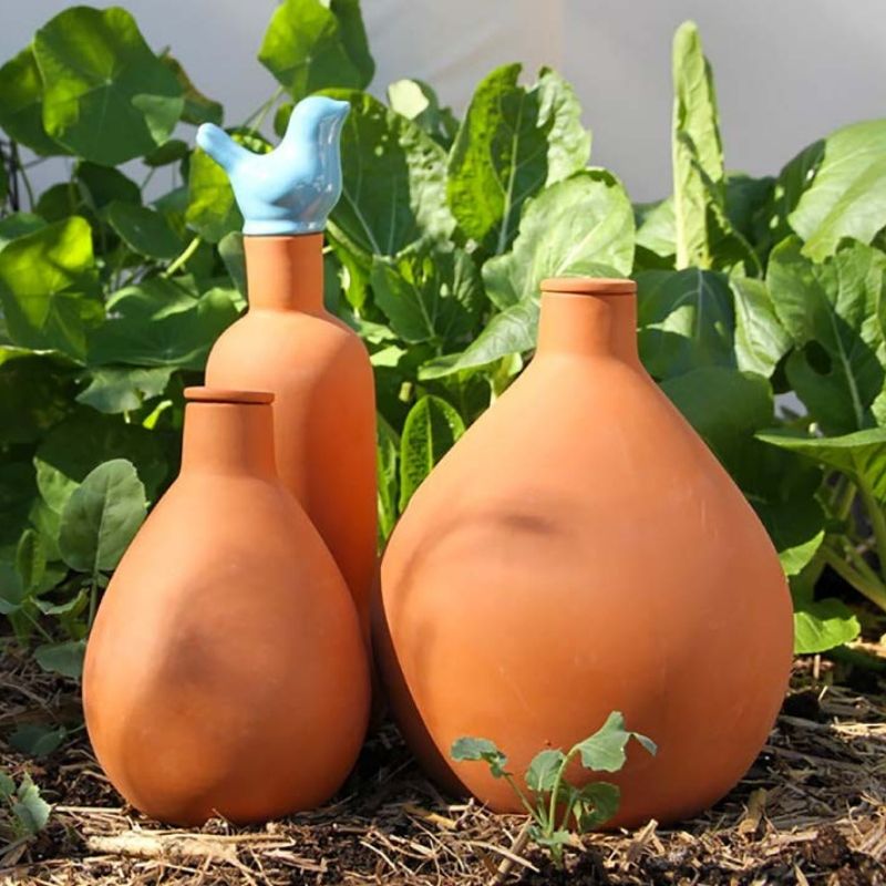 Small Space Urban Gardening | Olla Pots | Root Pouch Grow Bags