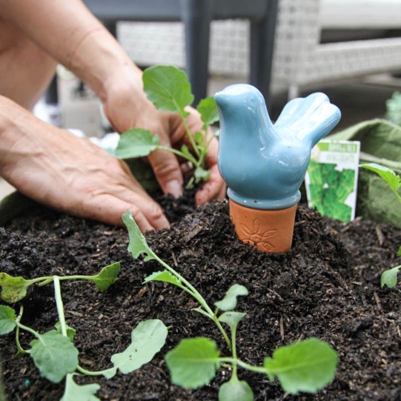 Small Space Urban Gardening | Olla Pots | Root Pouch Grow Bags