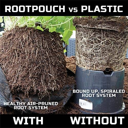 The Original Root Pouch Grow Bag | 100% Food Safe Planet Friendly – Up ...