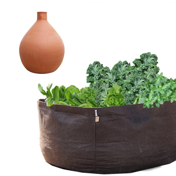 Grow Kits | Gardening Kits | How To Grow Vegetables | Up On The Rooftop ...