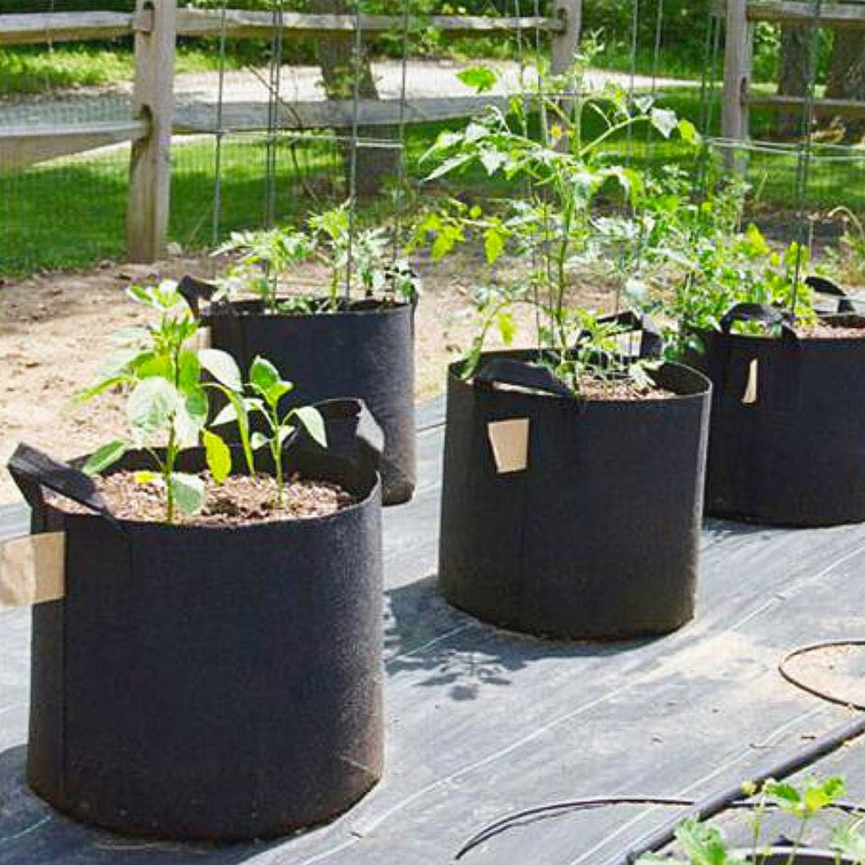 Black Root Pouch Grow Bags |100% Food Safe for Your Vegetable Garden ...
