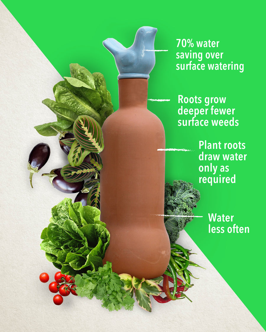 Small Space Urban Gardening | Olla Pots | Root Pouch Grow Bags