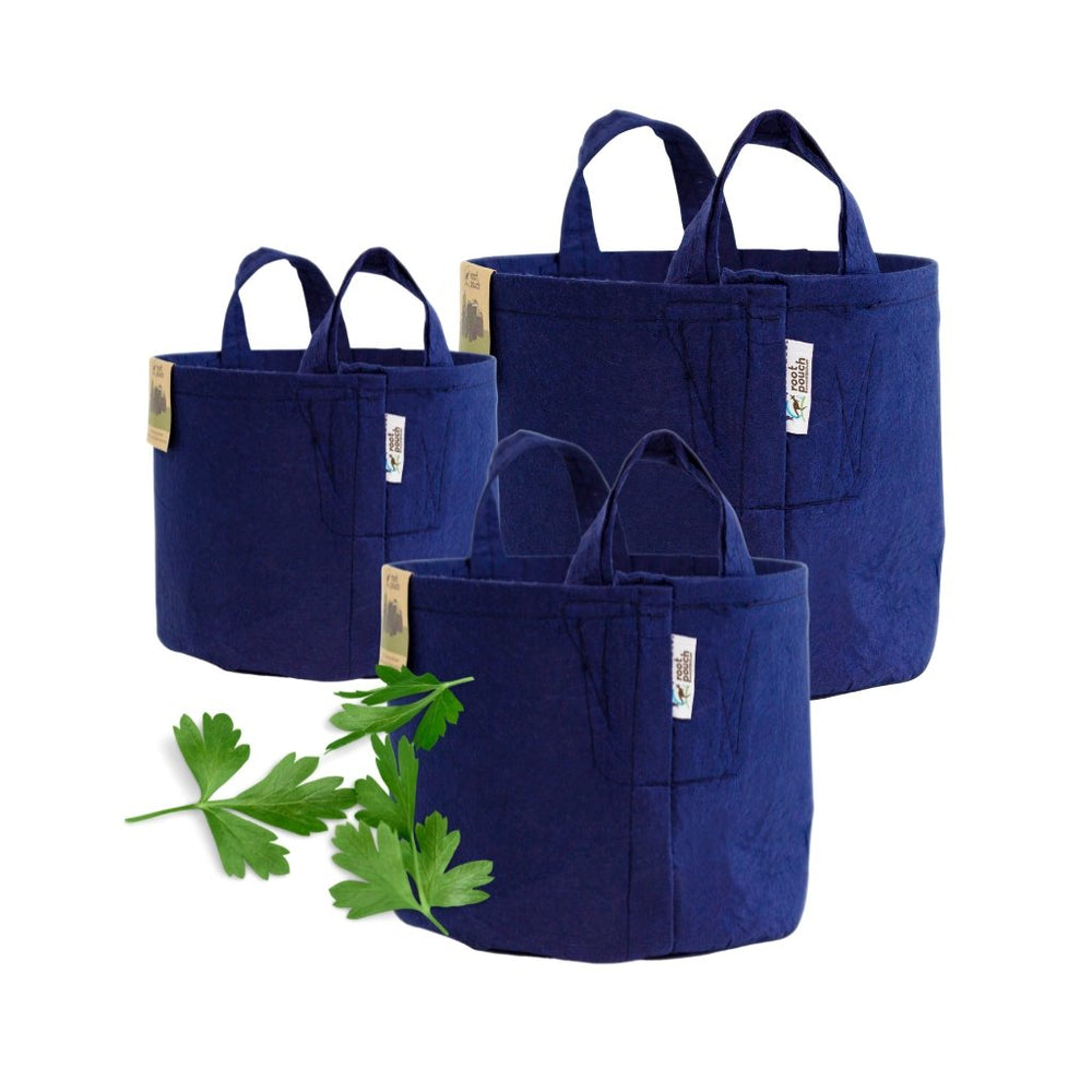 Grow Kits | Gardening Kits | How To Grow Vegetables | Up On The Rooftop