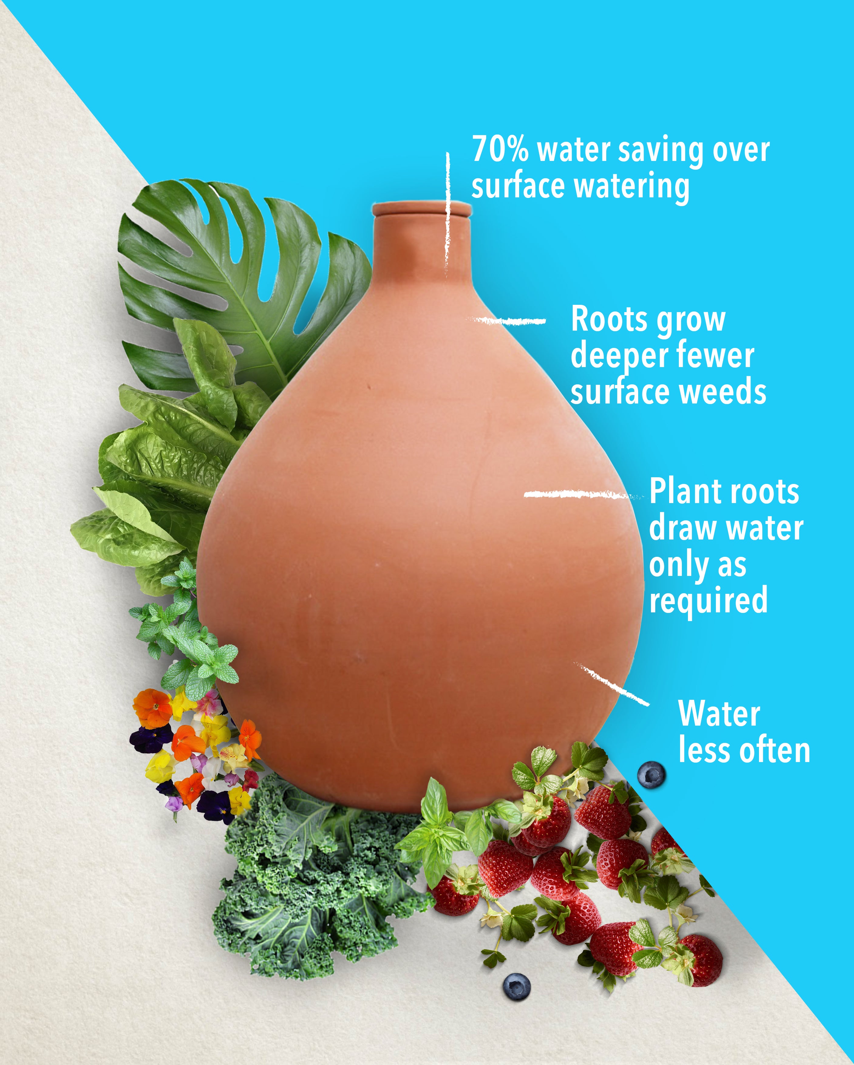 Large Self Watering Olla Pot Australia | Eco-friendly Terracotta | No ...