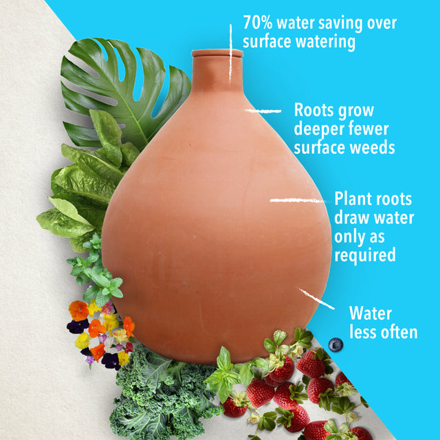 Large Self Watering Olla Pot Australia | Eco-friendly Terracotta – Up ...