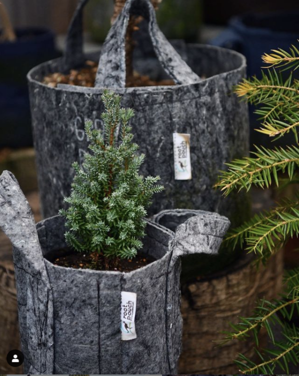 Small Space Urban Gardening | Olla Pots | Root Pouch Grow Bags