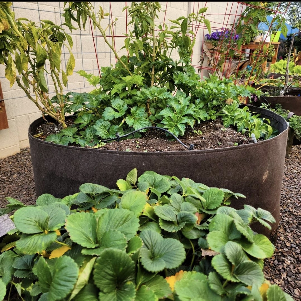 Raised Garden Bed Fabric Grow Bag | Large sizes | Grow in Small Spaces ...
