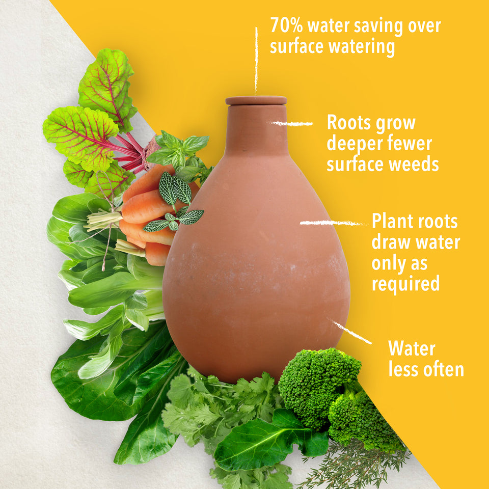Olla Pot Small | Garden Self Watering Pot | Up On The Rooftop