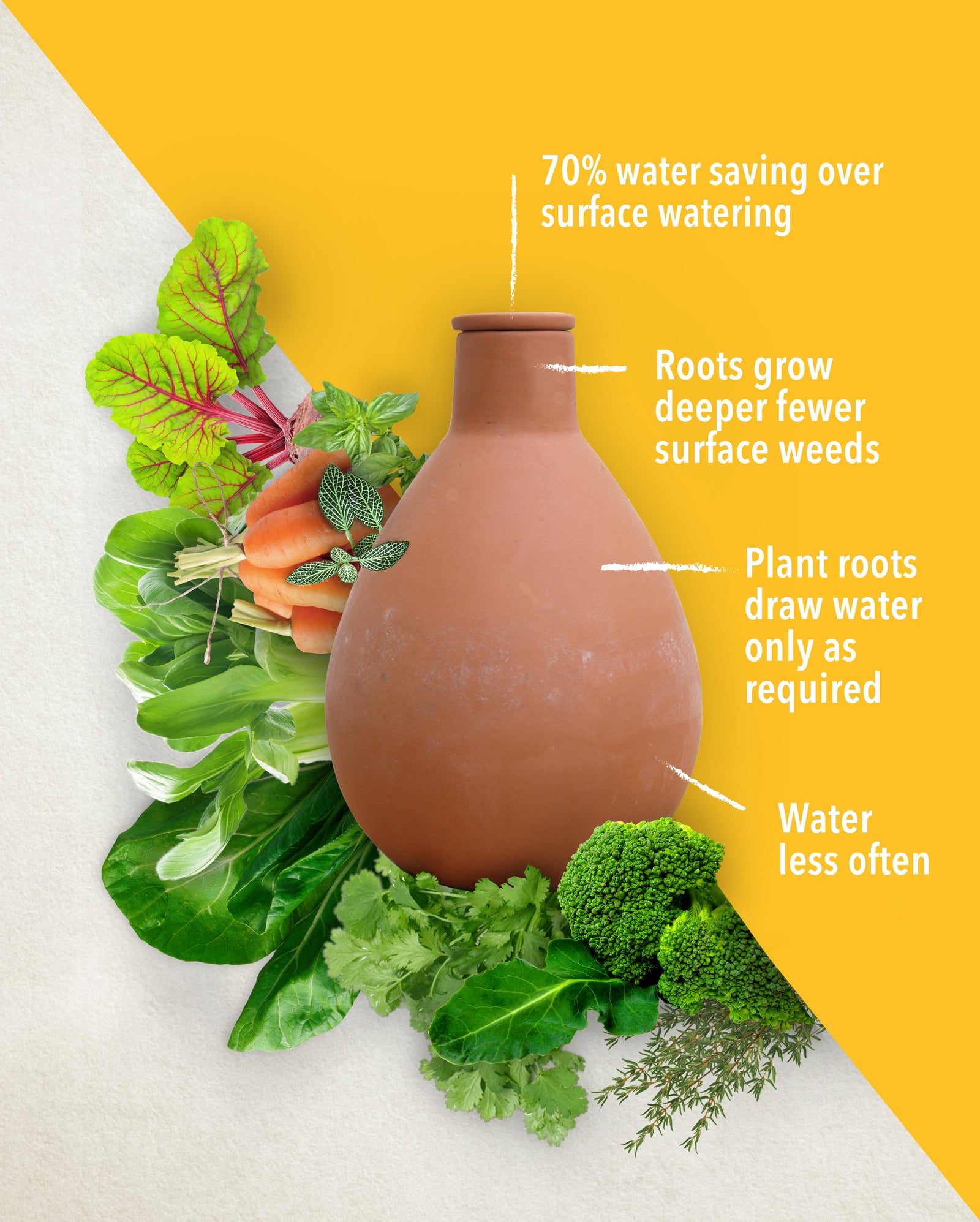 Large Self Watering Olla Pot Australia | Up On The Rooftop